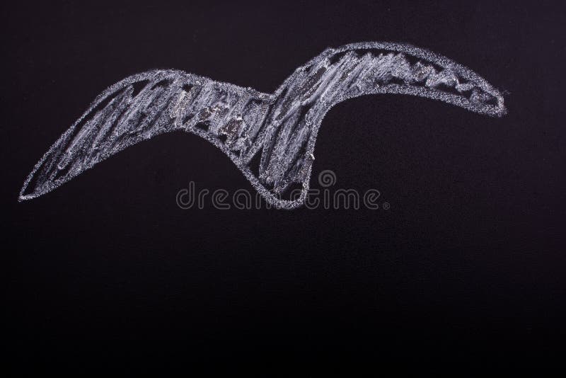 Chalk Drawn Bird on Blackboard Stock Photo - Image of school, smudged ...