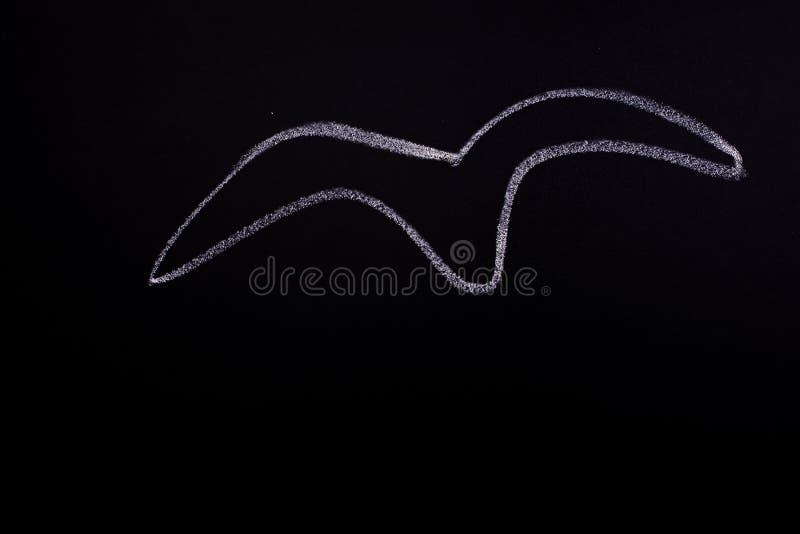 Chalk Drawn Bird on Blackboard Stock Photo - Image of education, white ...