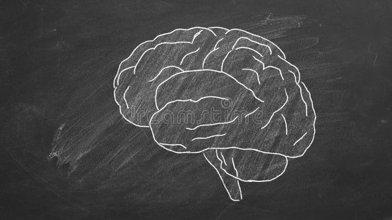 A Human Brain- Neural Network,Surrounds the Brain with Activity,the ...