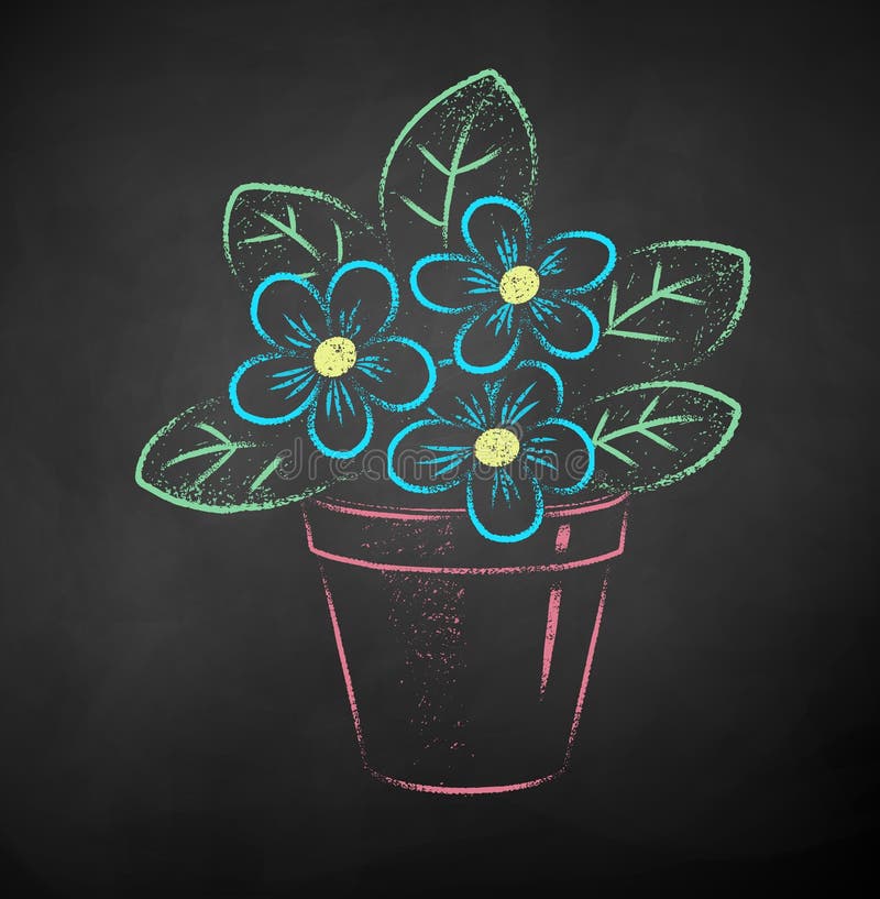 Chalk Daisy Stock Illustrations – 314 Chalk Daisy Stock Illustrations ...