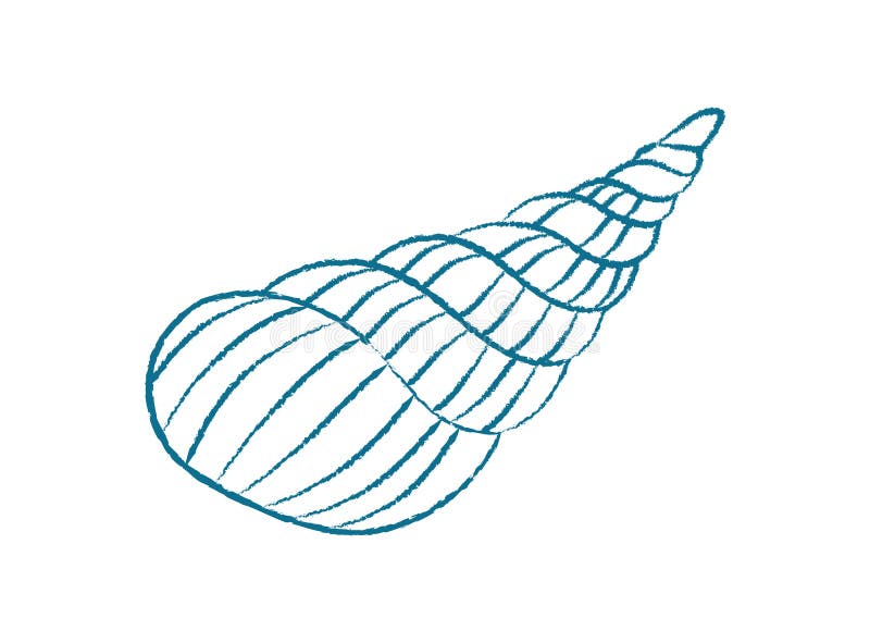 Chalk Seashell Shape stock vector. Illustration of logo - 354655356