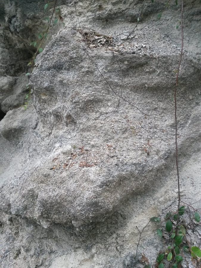 Chalk Sediment Soil White and Grey Ashes Stock Image - Image of chalk ...
