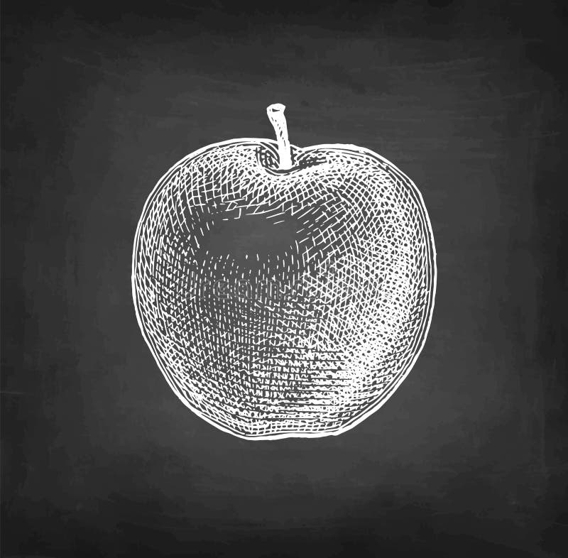 Apple Engraving Chalk Stock Illustrations – 137 Apple Engraving Chalk ...