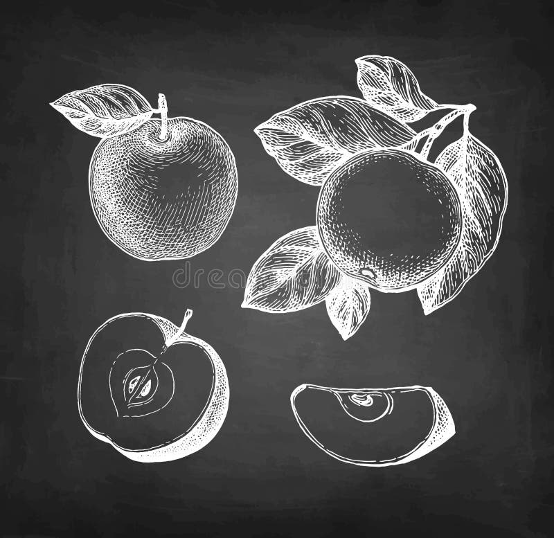Apple Engraving Chalk Stock Illustrations – 137 Apple Engraving Chalk ...