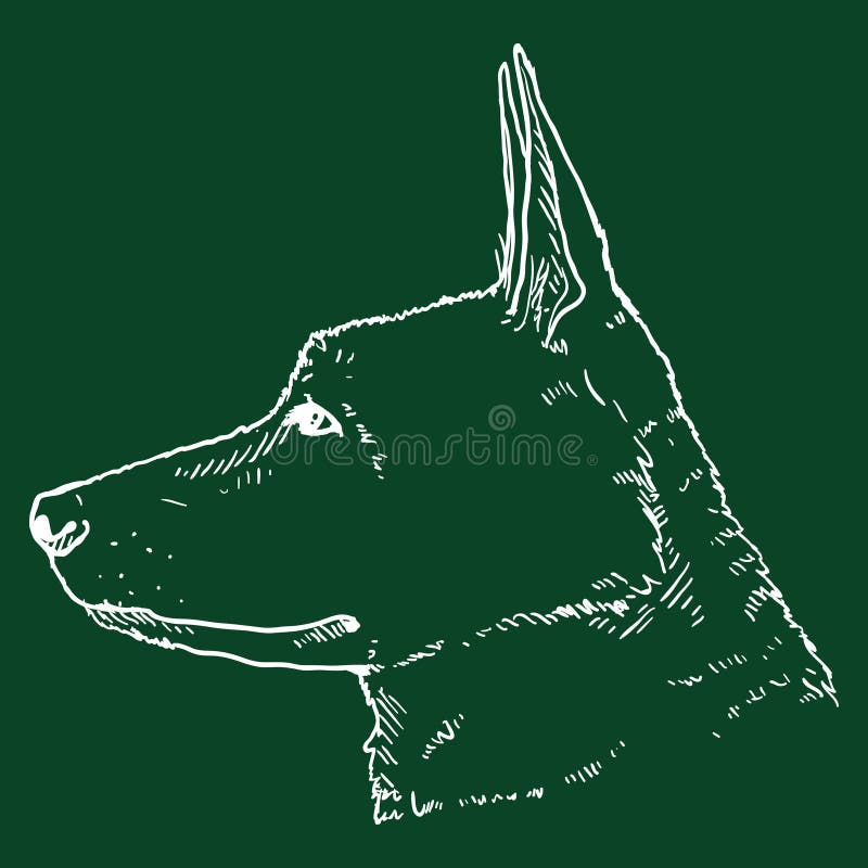 Sketch German Shepherd Dog Face Side View. Vector Illustration Stock ...