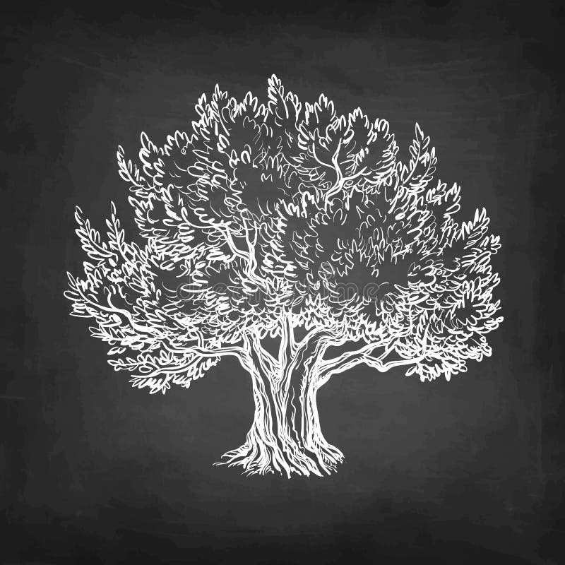 Olive Oil Chalk Stock Illustrations – 215 Olive Oil Chalk Stock ...