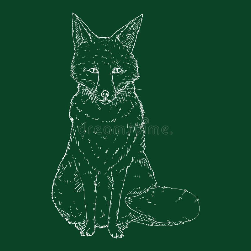 Sketch Sitting Fox. Front View Stock Vector - Illustration of contour ...