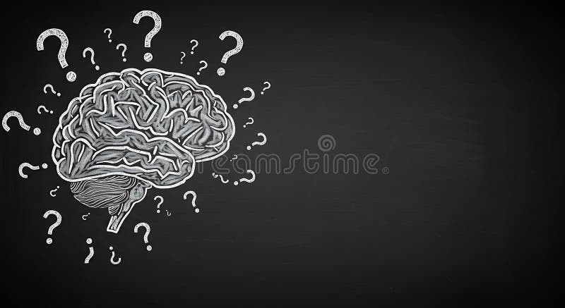 A Chalkboard Drawing Features a Detailed, Stylized Human Brain on the ...