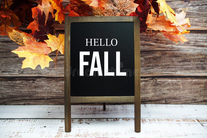 Chalkboard Easel with Hello Fall Text Message with Autumn Maple Leaves ...