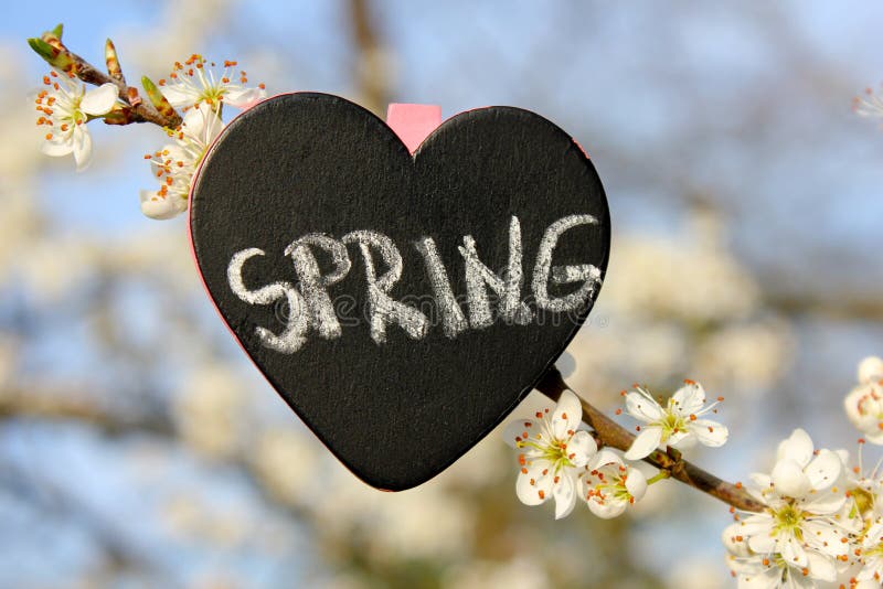 Chalkboard Heart Spring Flower Stock Image - Image of wishes, season ...