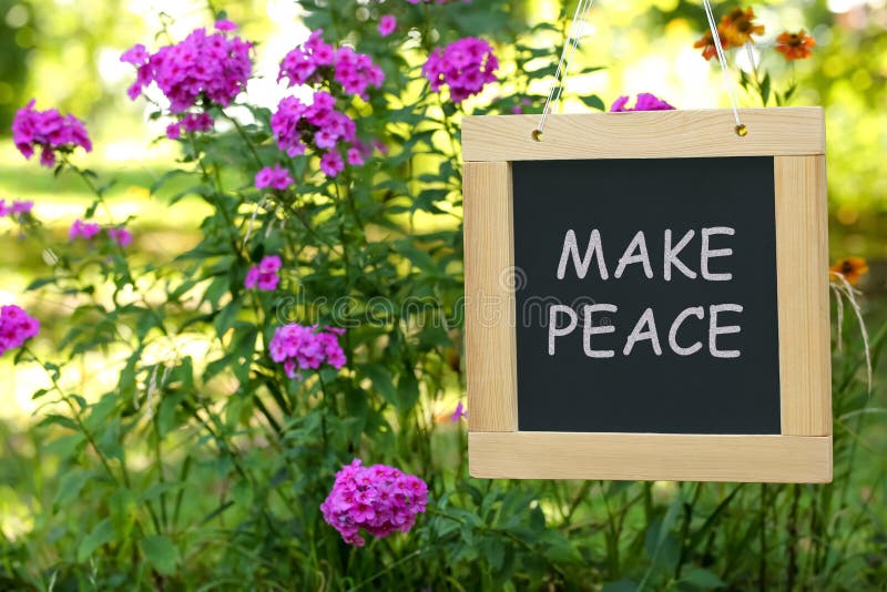 Chalkboard with Phrase Make Peace Near Phlox Flowers Outdoors Stock ...
