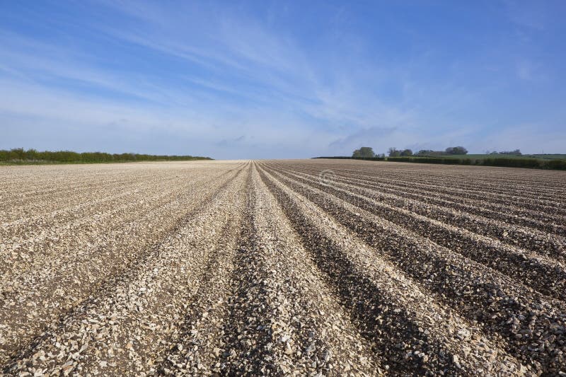 Arable landscape stock image. Image of agriculture, summer - 76837329