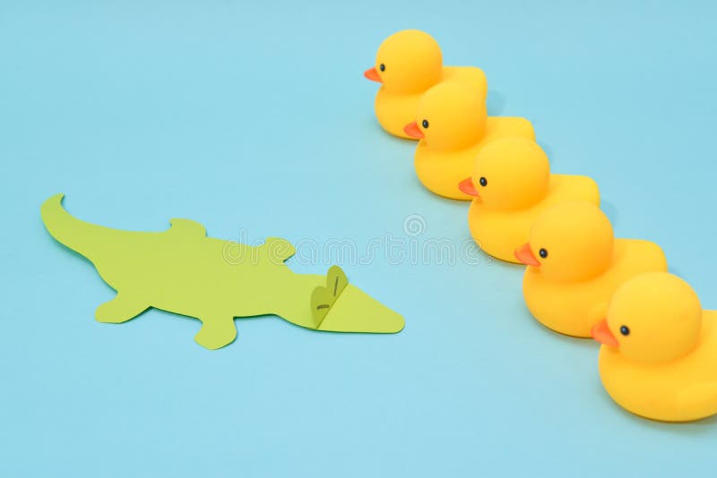 Challenge Concept, Rubber Ducks are Facing Crocodile. Stock Photo ...