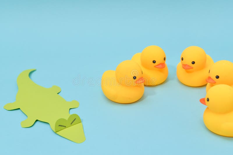 Challenge Concept, Rubber Ducks are Facing Crocodile Stock Photo ...
