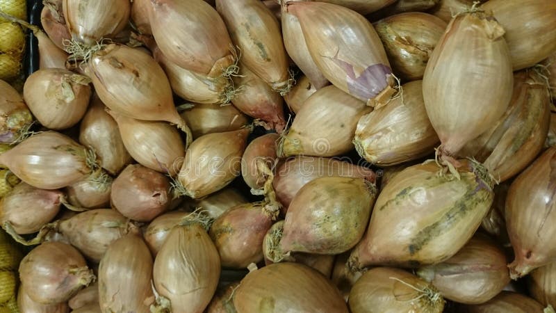 Chalote imagen de archivo. Imagen de fondo, corte, alimento - 21162949