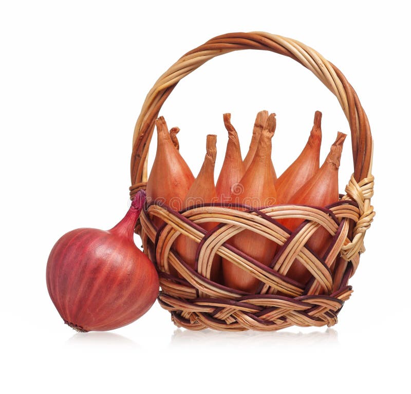 Chalote crudo imagen de archivo. Imagen de cesta, sano - 43388247
