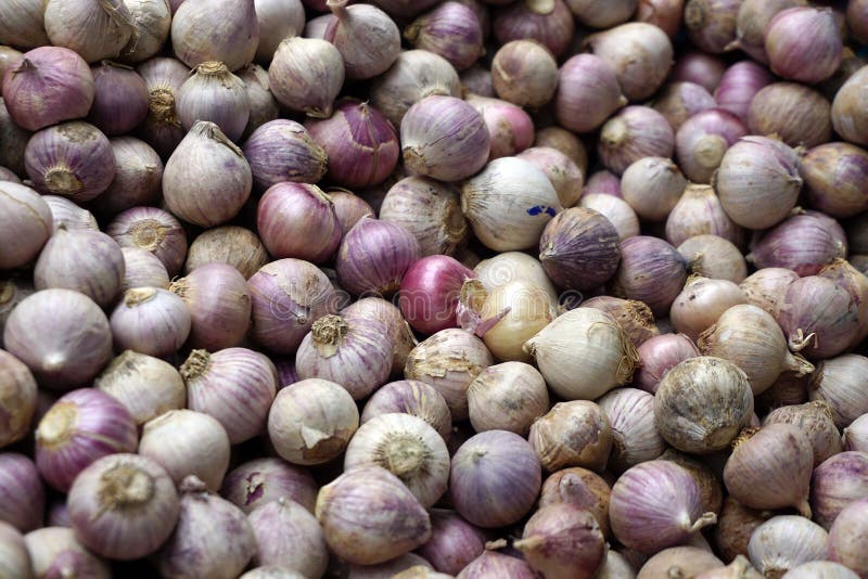Chalote Fresco Y Apio Que Venden En Mercado Imagen de archivo - Imagen ...