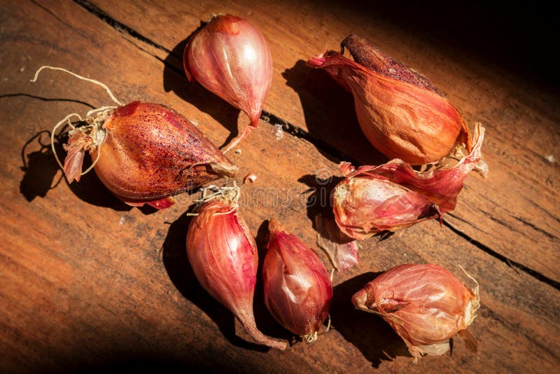 Chalote o cebolla roja imagen de archivo. Imagen de salud - 39702329