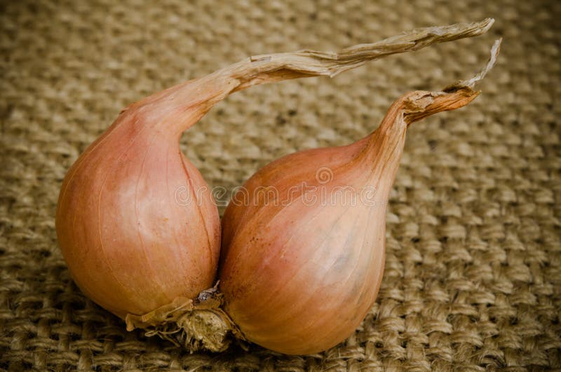 Chalotes imagen de archivo. Imagen de tailandés, planta - 40513463