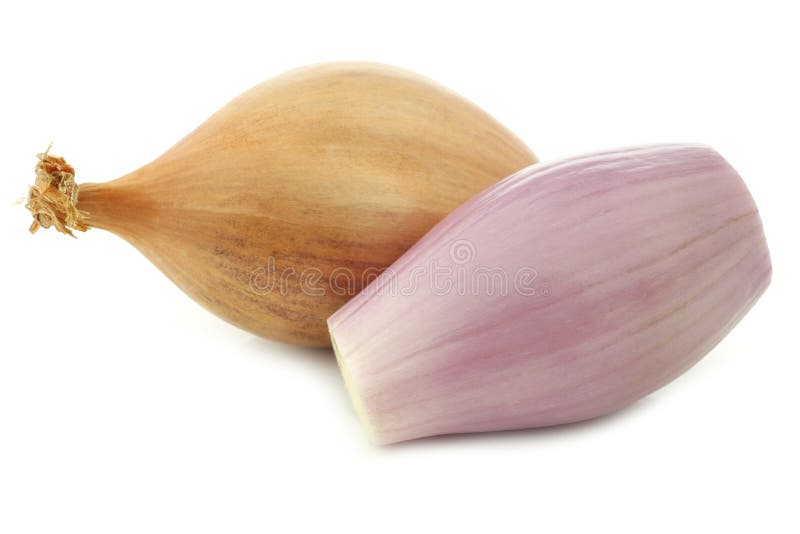 Dos chalotes frescos imagen de archivo. Imagen de bulbos - 40531171