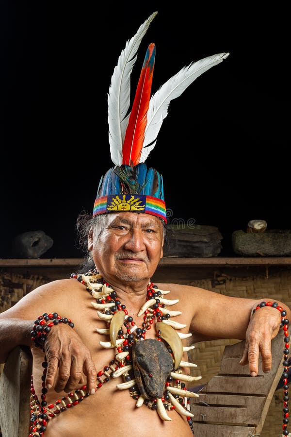 Chamán amazónico Portrait imagen de archivo. Imagen de poderoso - 61154419