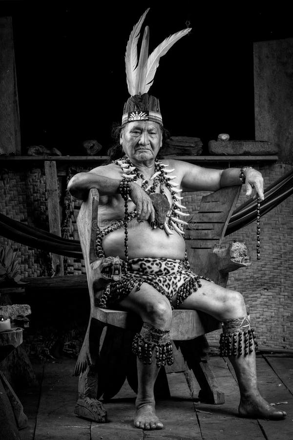Chamán amazónico Portrait imagen de archivo. Imagen de oficina - 61154361