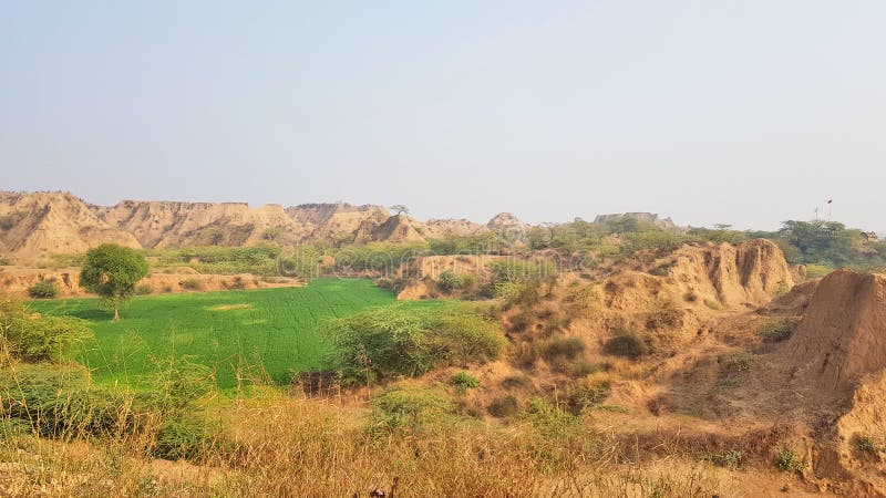 Chambal Valley in Madhya Pradesh in India Stock Photo - Image of ...