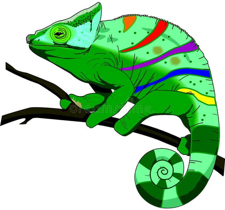Colorful Forest Chameleon Stock Illustrations – 4,939 Colorful Forest ...