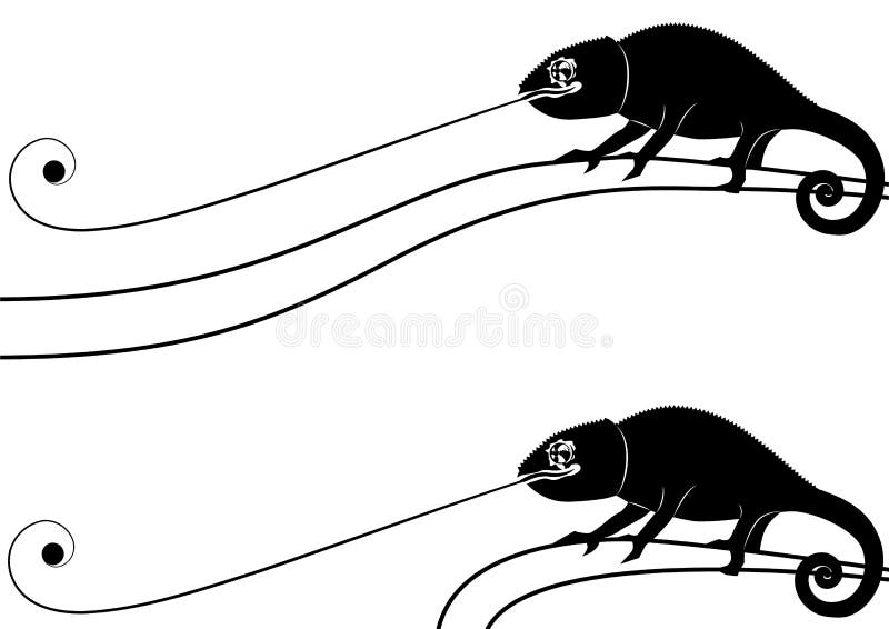 Chameleons stock vector. Illustration of border, white - 39517229