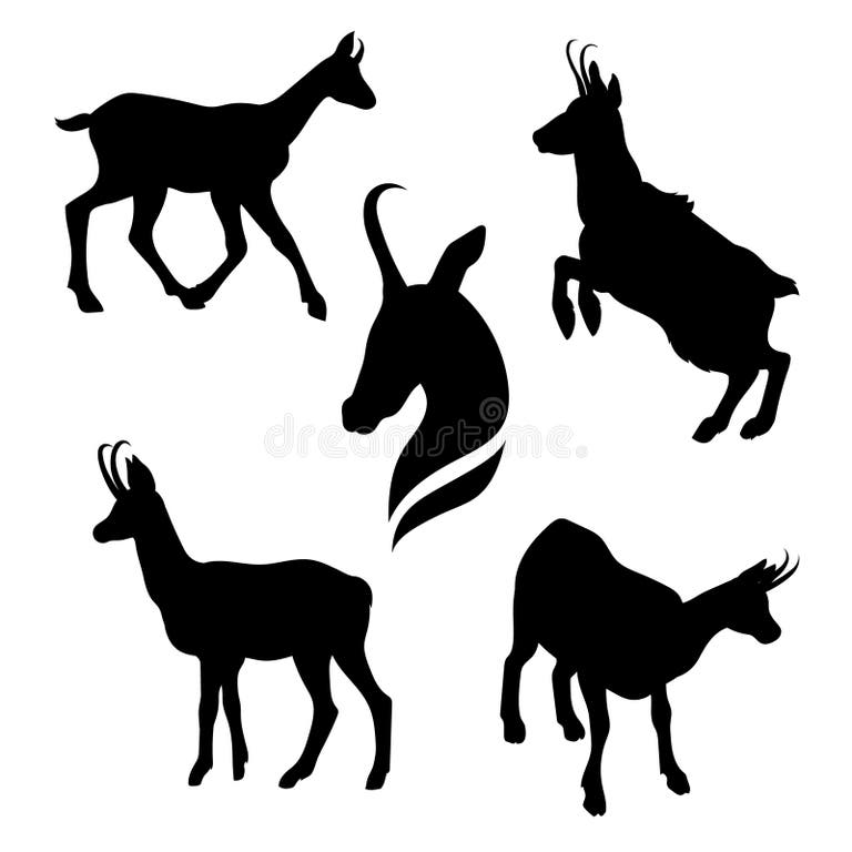 Chamois set vector stock vector. Illustration of wildlife - 51996661