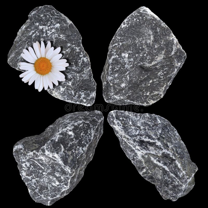 Chamomile Bud on Gray Stone, Set of Stones of Different Shapes, Nature ...