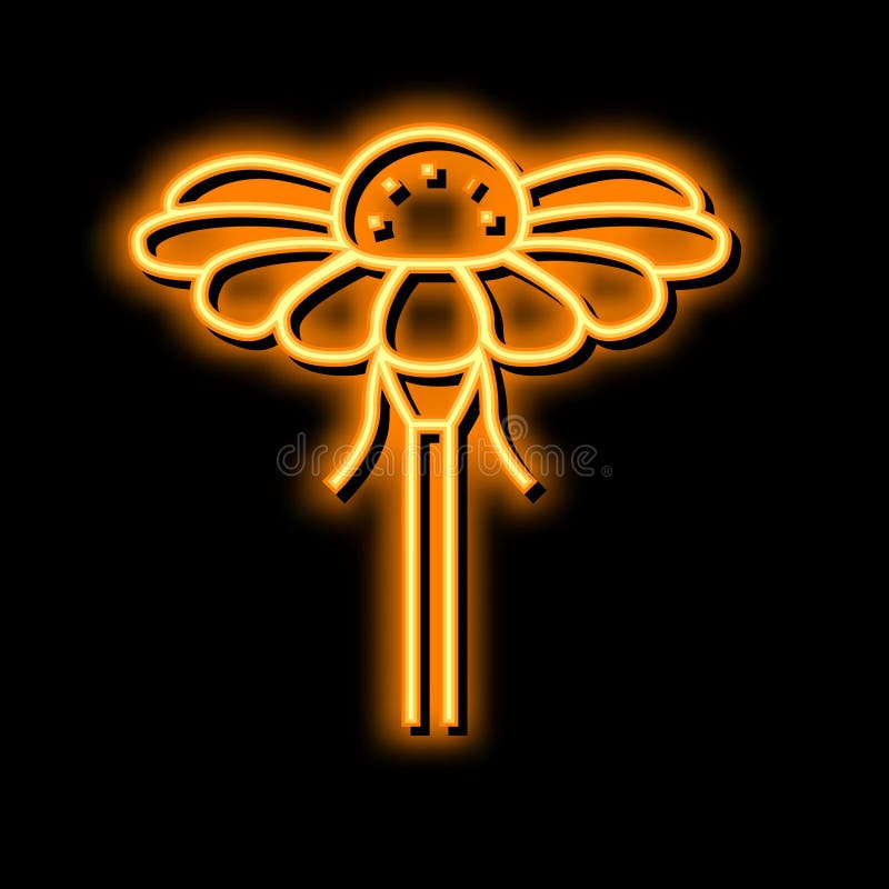 Chamomile Flower Bud Neon Glow Icon Illustration Stock Vector ...