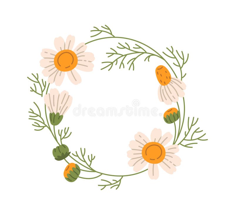 Chamomile Flowers Round Frame Stock Vector - Illustration of bouquet ...