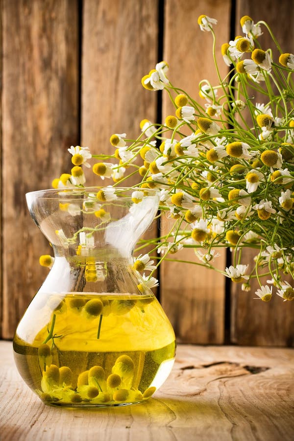 Chamomile. stock image. Image of mortar, chamomile, ingredients - 31525759