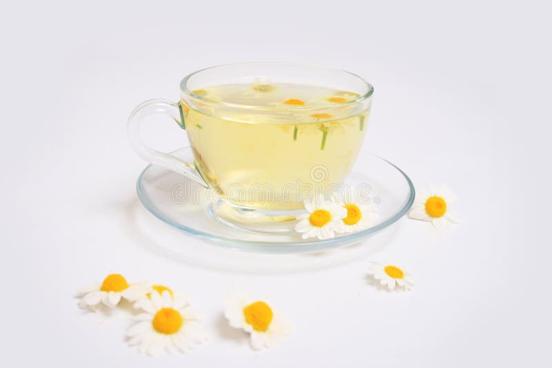Chamomile tea stock photo. Image of healthy, glass, cafe - 10646412
