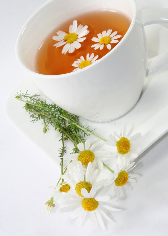 Chamomile tea stock image. Image of nature, rest, medicinal - 12732325