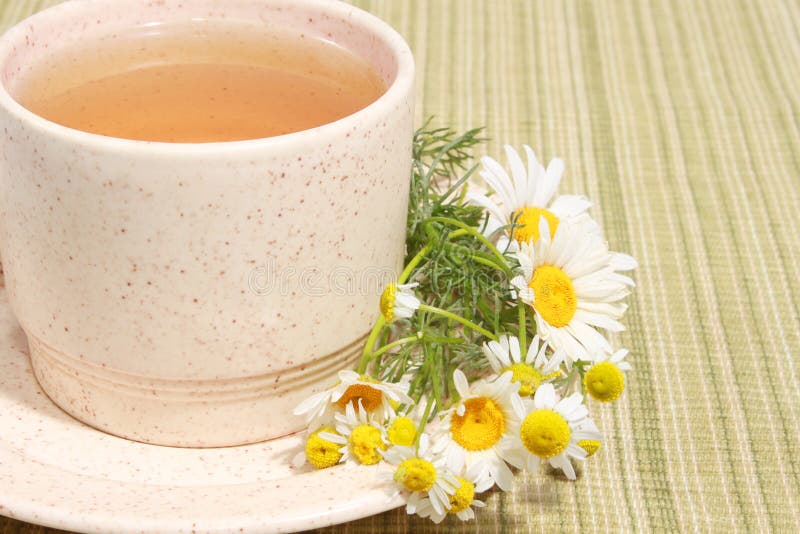 Chamomile tea stock photo. Image of leaf, clear, camomile - 14701022