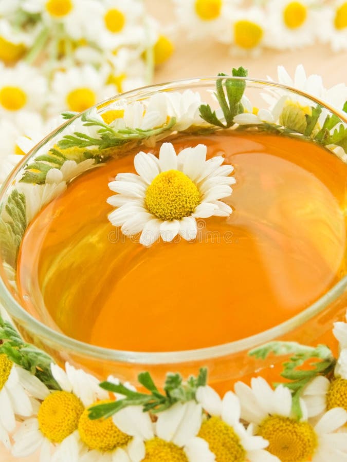 Chamomile tea stock photo. Image of drink, closeup, flower - 14797700