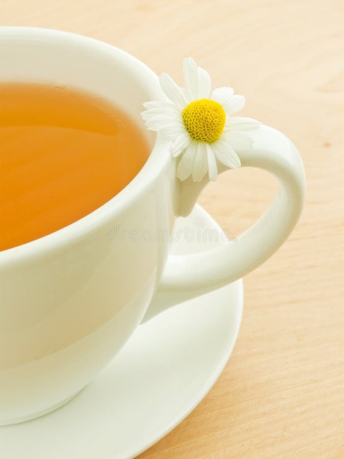 Chamomile tea stock photo. Image of drink, closeup, flower - 14797700
