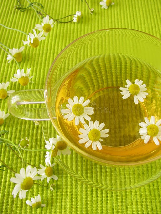 Chamomile tea stock image. Image of german, infusion - 19778319