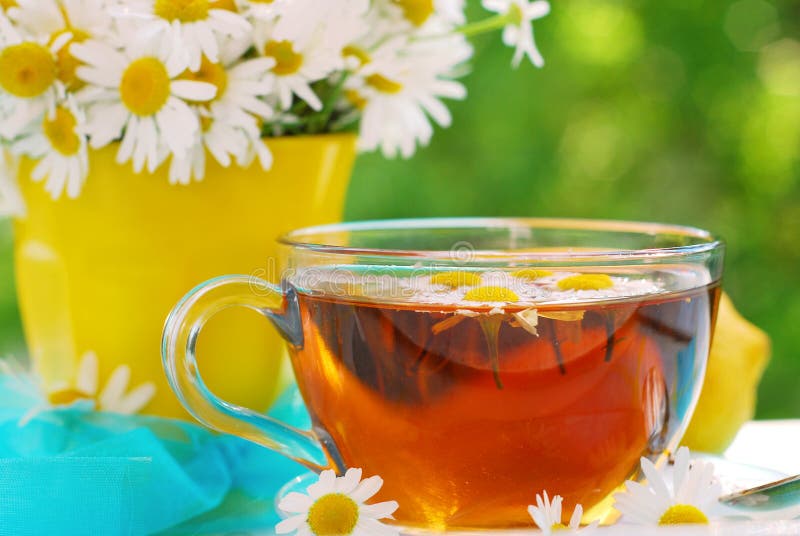 Chamomile tea stock photo. Image of natural, chamomile - 21719608
