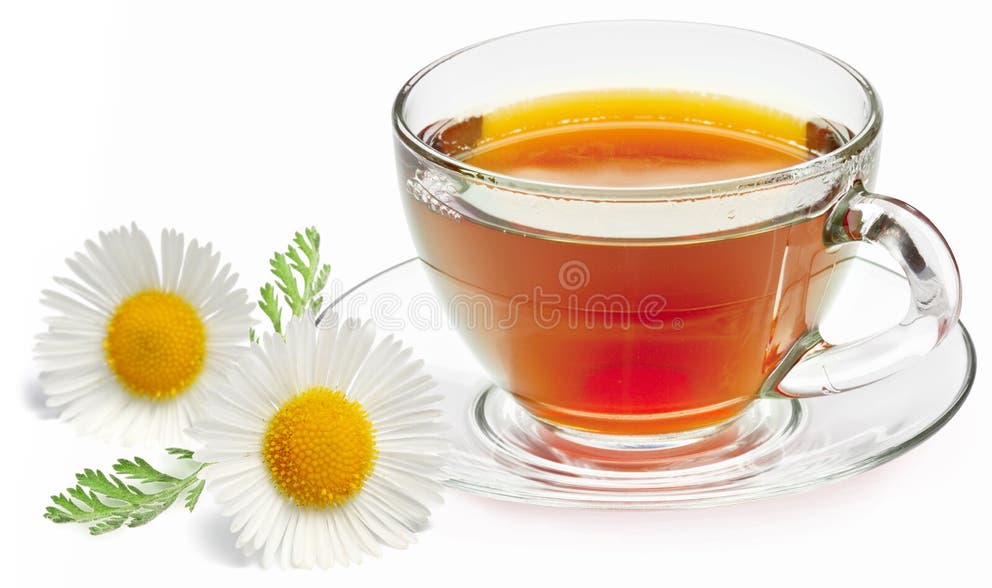 Chamomile tea stock photo. Image of natural, chamomile - 21719608