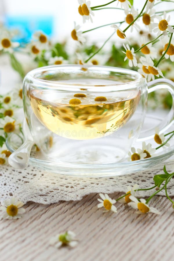 Chamomile tea stock photo. Image of herb, green, leaf - 24489890