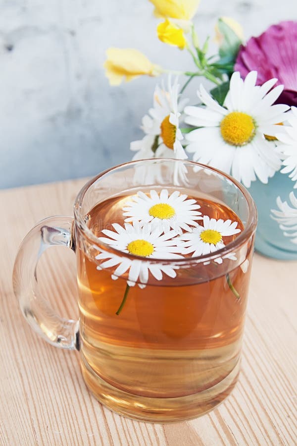 Chamomile tea stock image. Image of daisy, drink, glass - 26043757