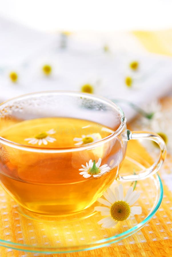 Chamomile tea stock photo. Image of healthy, organic, lifestyle - 3188858