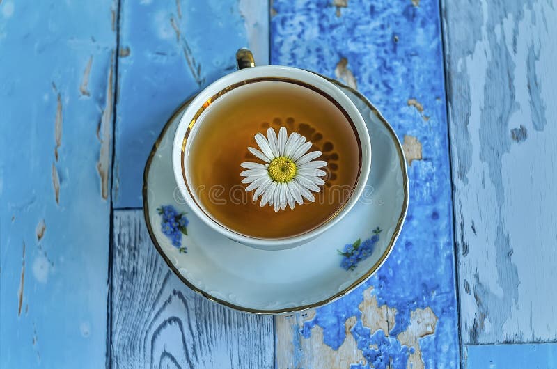 Chamomile Tea on a Blue Background Stock Image - Image of doodle, blue ...