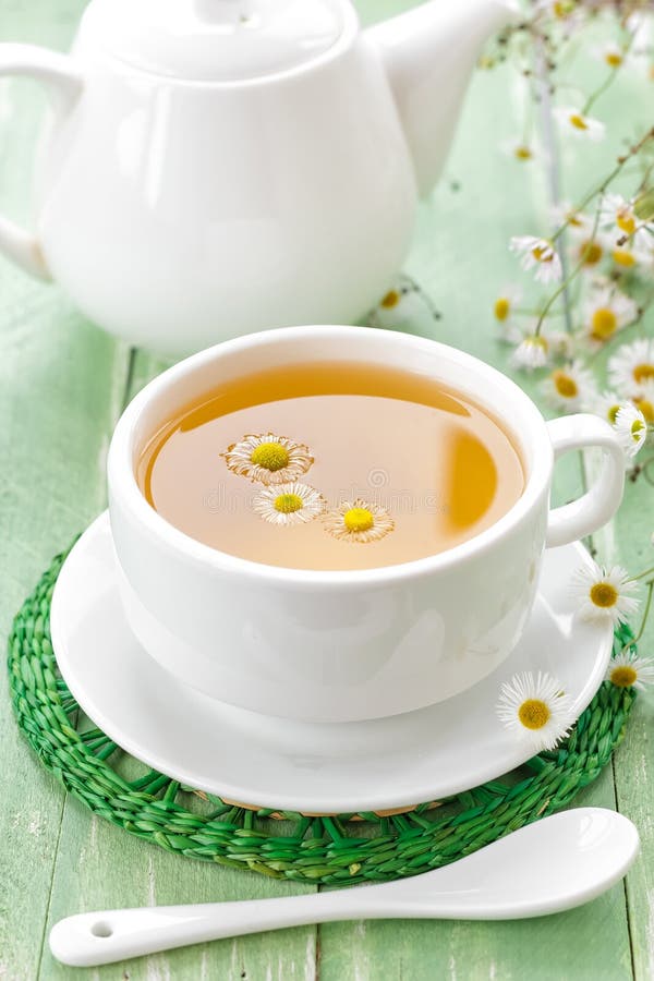 Chamomile tea stock photo. Image of green, grassy, herbaceous - 34725124