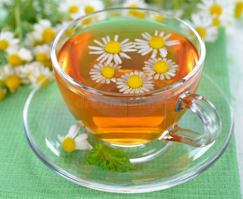 Chamomile tea stock photo. Image of saucer, wholesome - 30828842