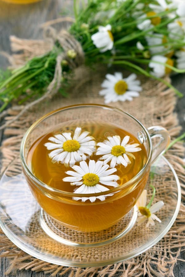 Chamomile tea stock image. Image of beverage, plant, rustic - 91974933