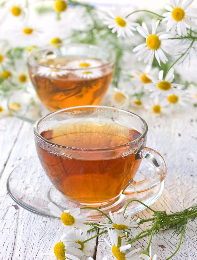 Green Tea Cup Bag Herbal Chamomile Stock Photo - Image of cleanse ...
